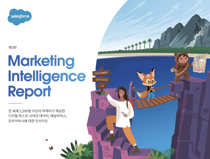 마케팅 인텔리전스 보고서 세일즈포스 Salesforce